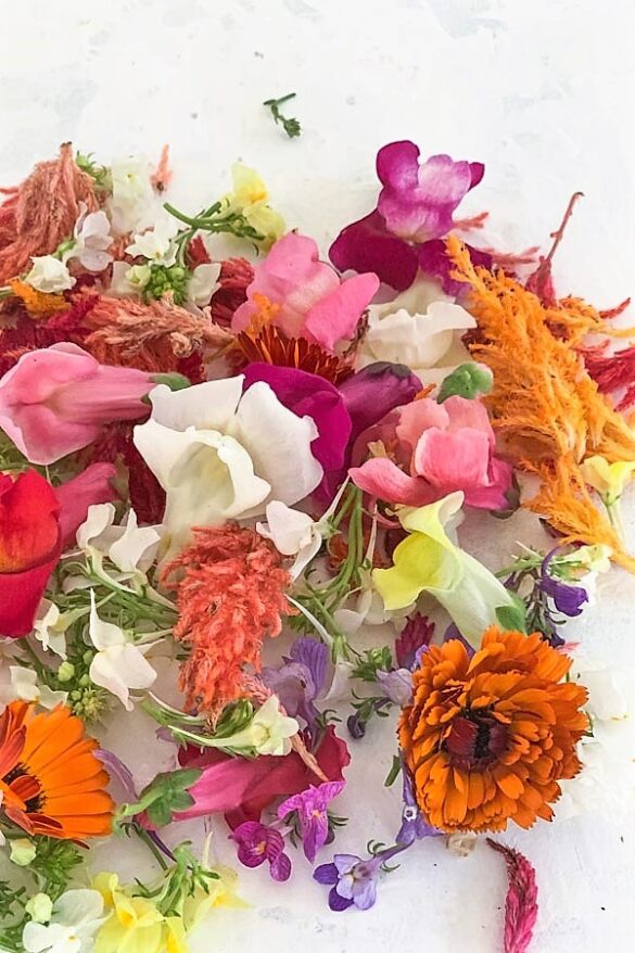 Herb Salad with Edible Flowers | The Sidesmith