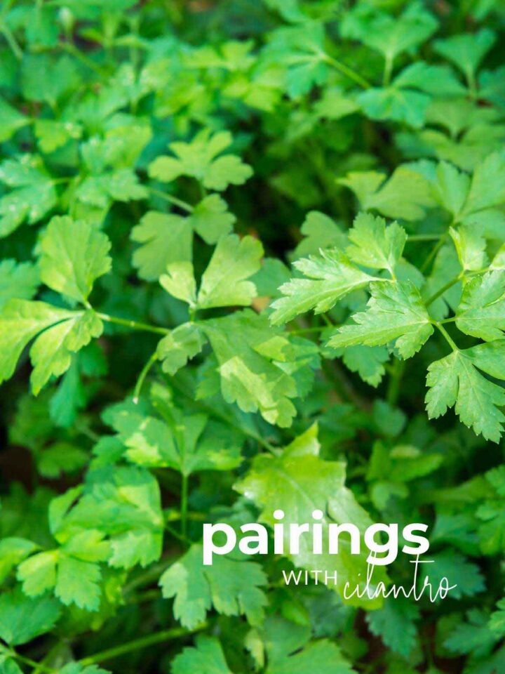 What Goes with Beetroot? | The Sidesmith