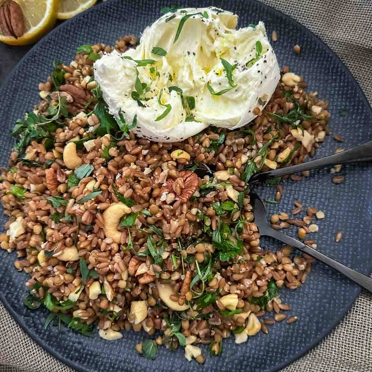 Farro Side Dish with Mozzarella | The Sidesmith