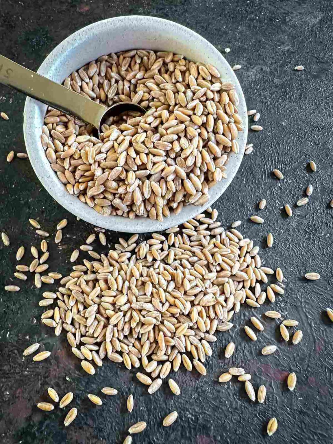 Farro Side Dish with Mozzarella | The Sidesmith