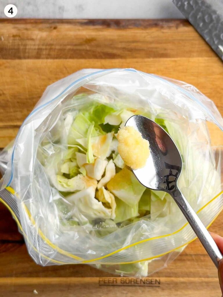 Japanese Cabbage Side Dish (Yamitsuki Cabbage) | The Sidesmith