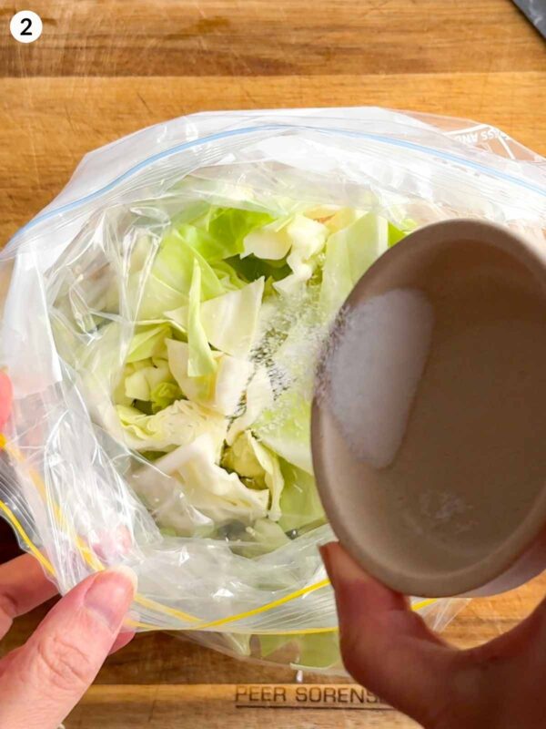 Japanese Cabbage Side Dish (Yamitsuki Cabbage) | The Sidesmith